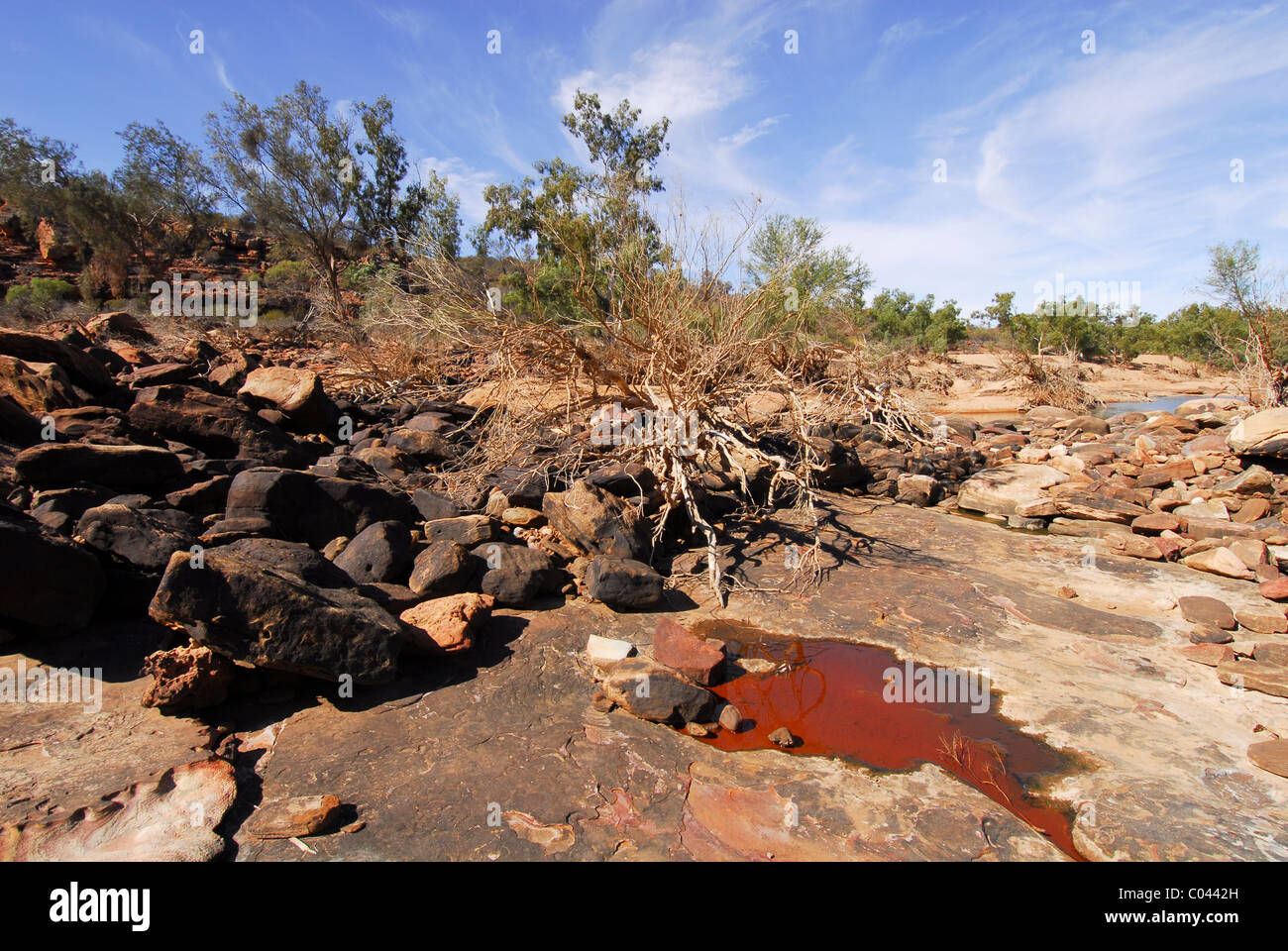 Dry riverbed in Kalbarri National Park, Western Australia Stock Photo ...