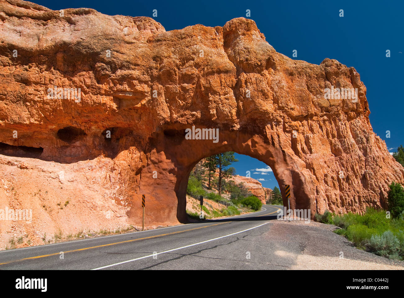 Dixie National Forest just before arriving to Bryce Canyon National ...
