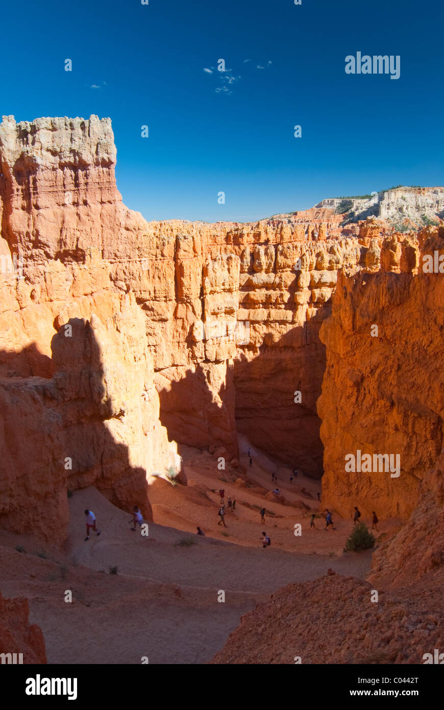 Bryce amphitheater hike hi-res stock photography and images - Alamy