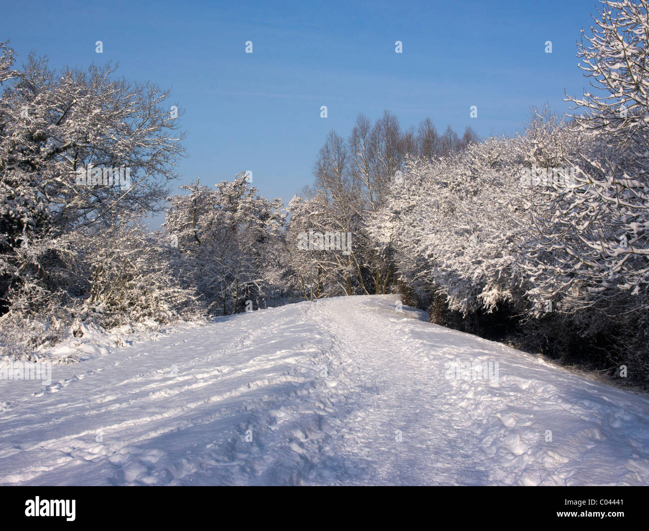 snow winter cold freezing december Stock Photo - Alamy