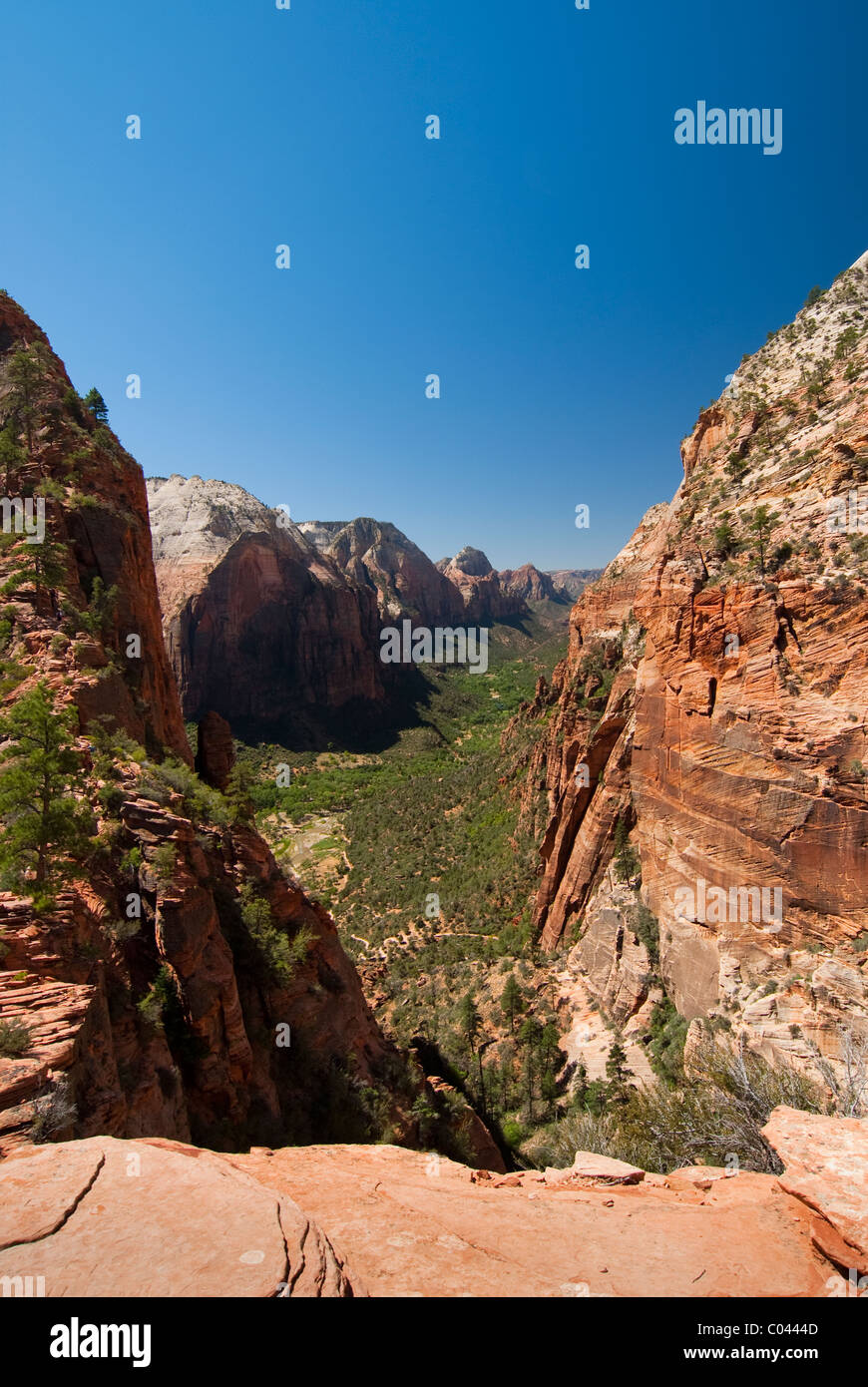 Climbing the beautiful Angel's Landing trail at Zion National Park ...