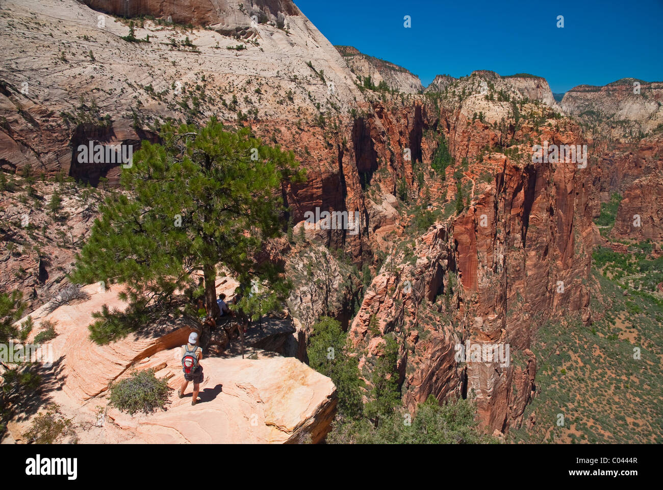 Climbing the beautiful Angel's Landing trail at Zion National Park ...