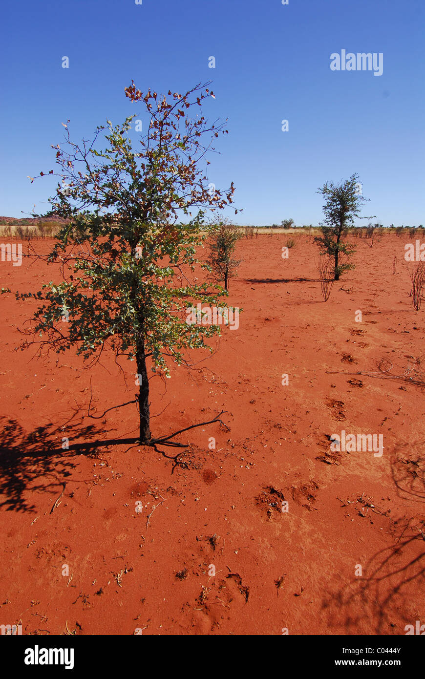 Red earth in the Karijini area of Western Australia Stock Photo - Alamy