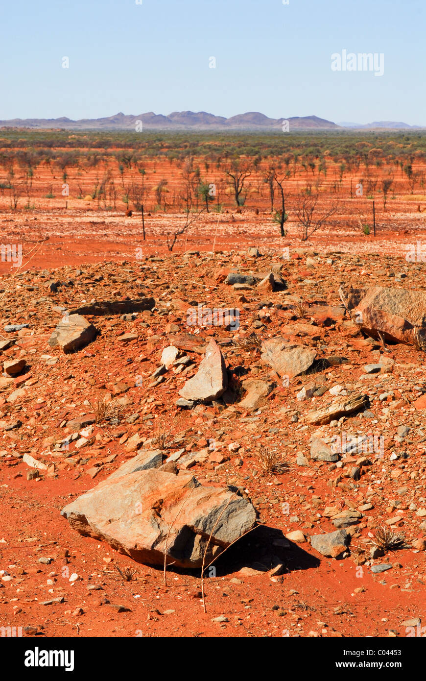 Red earth in western australia hi-res stock photography and images - Alamy