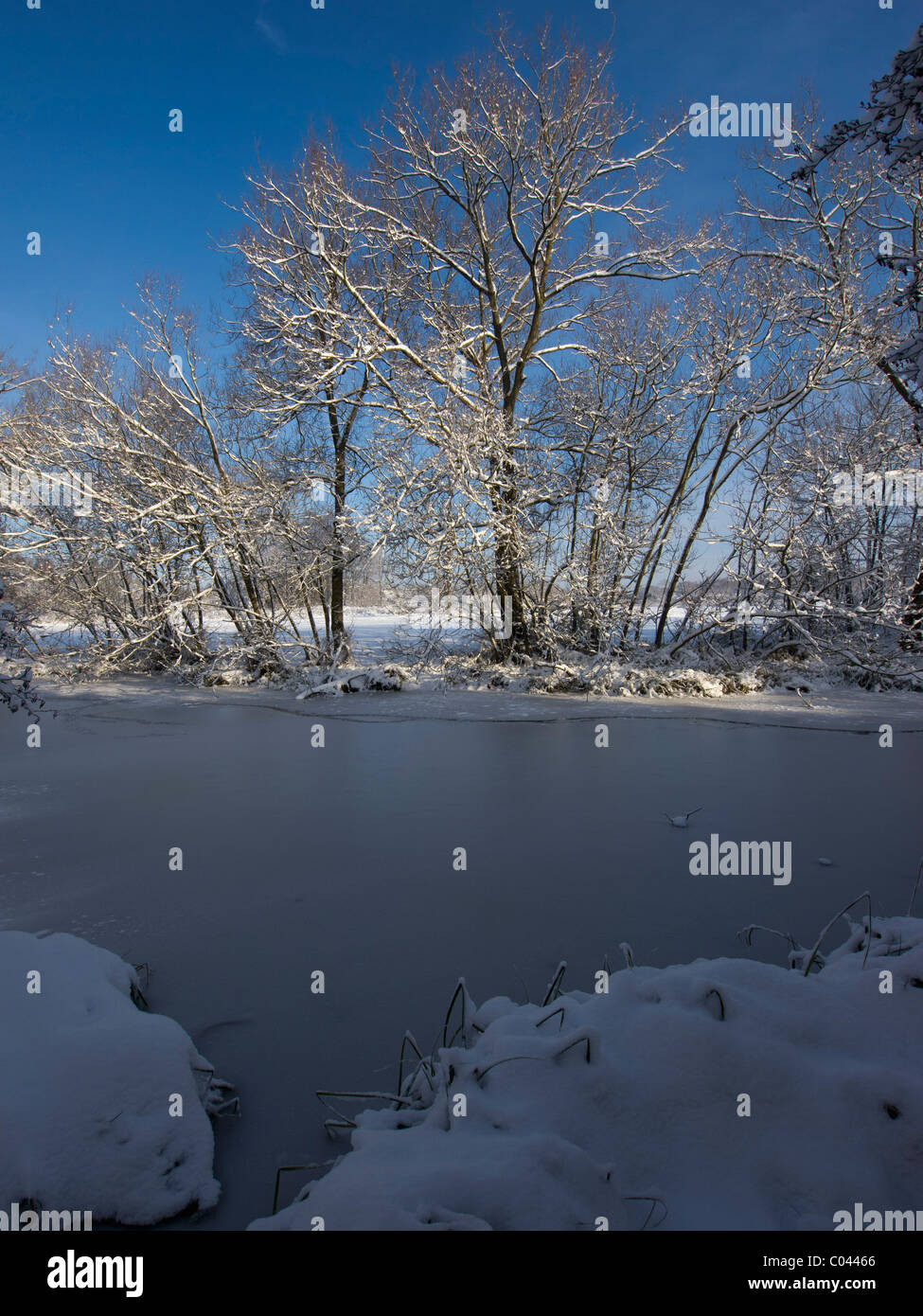 snow winter cold freezing december Stock Photo - Alamy