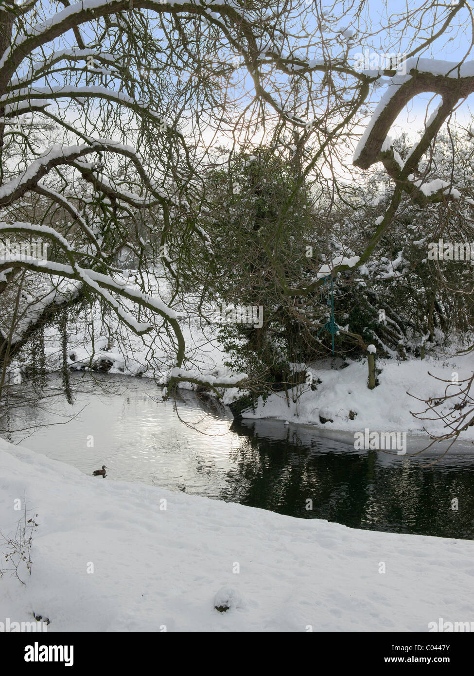 snow winter cold freezing december Stock Photo - Alamy