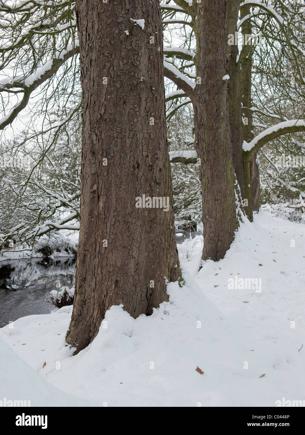 snow winter cold freezing december Stock Photo - Alamy