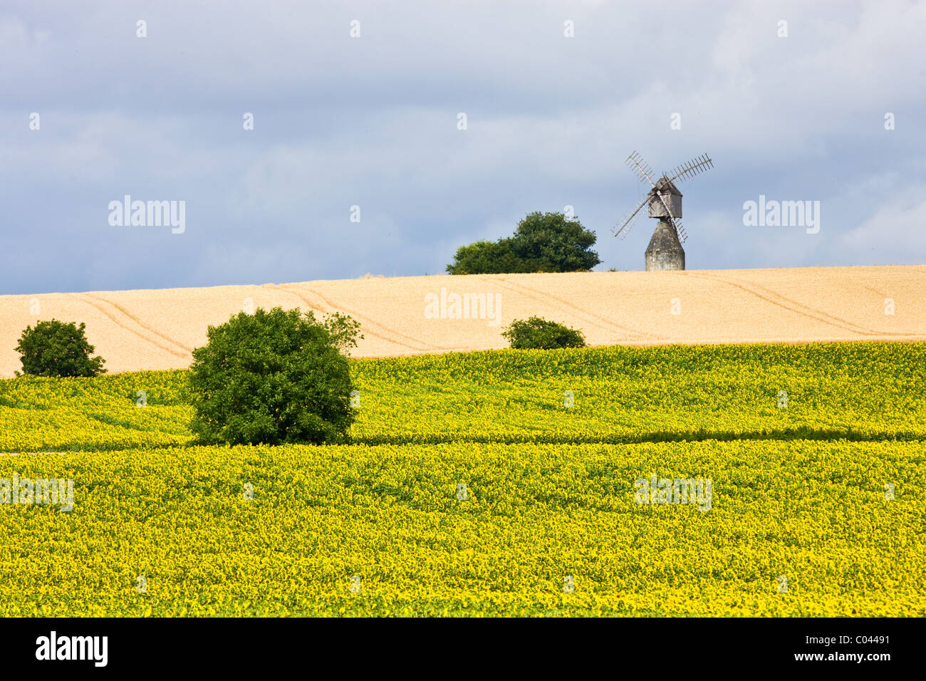 18th Century Moulin a Vent windmill at Puits d'Ardanne near Loudun ...