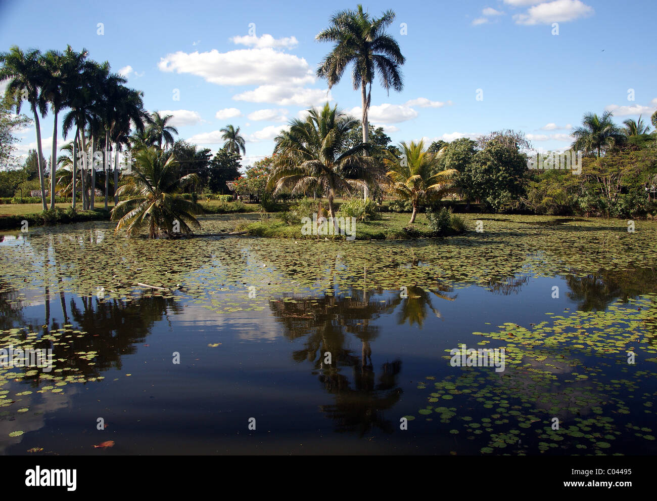 Crocodile farm hi-res stock photography and images - Alamy
