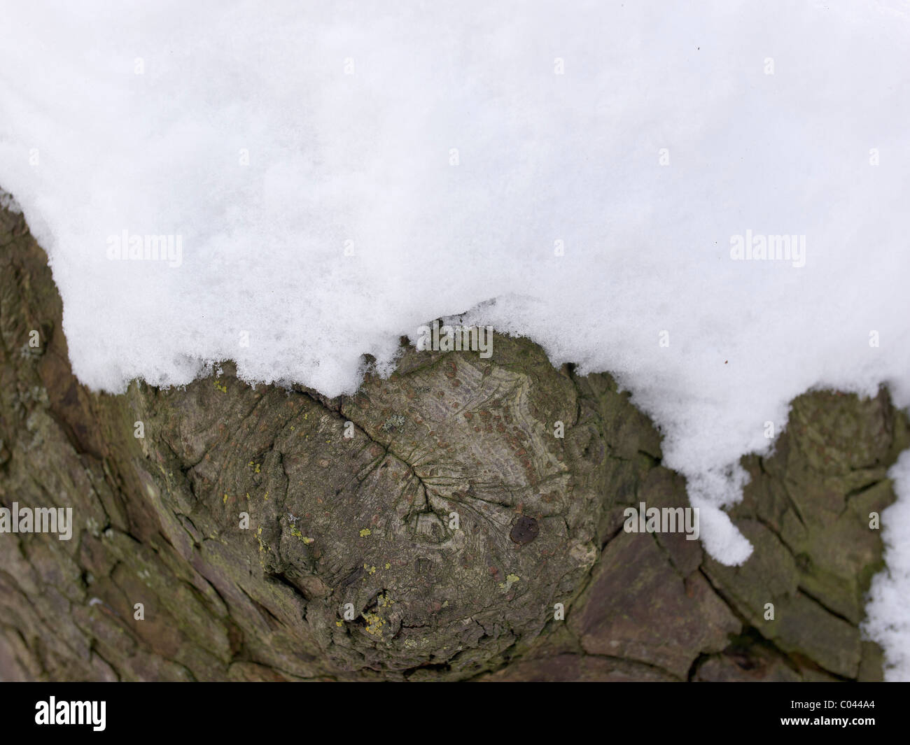 snow winter cold freezing december Stock Photo - Alamy