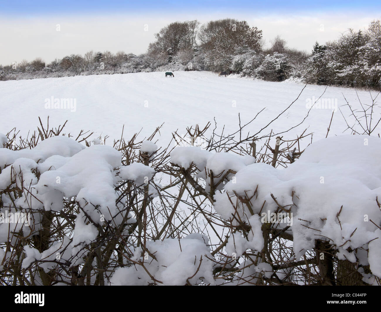 snow winter cold freezing december Stock Photo - Alamy