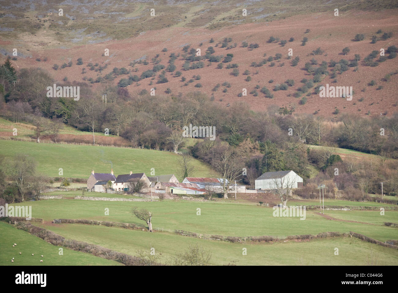 Welsh Hill Farm Stock Photo - Alamy