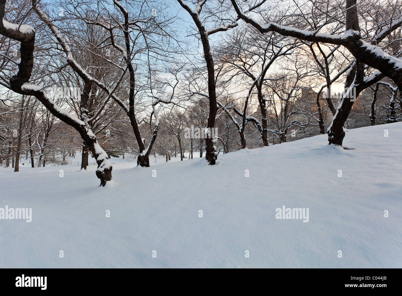 Central Park - New York City after large snow storm at pilgrim Hill ...