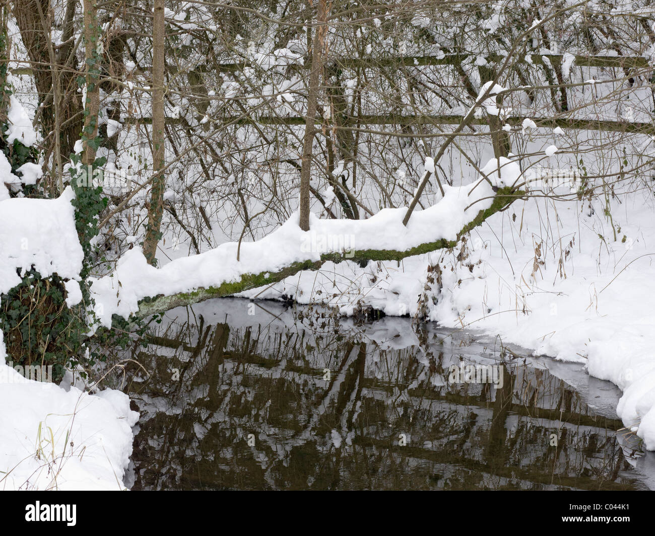 snow winter cold freezing december Stock Photo - Alamy