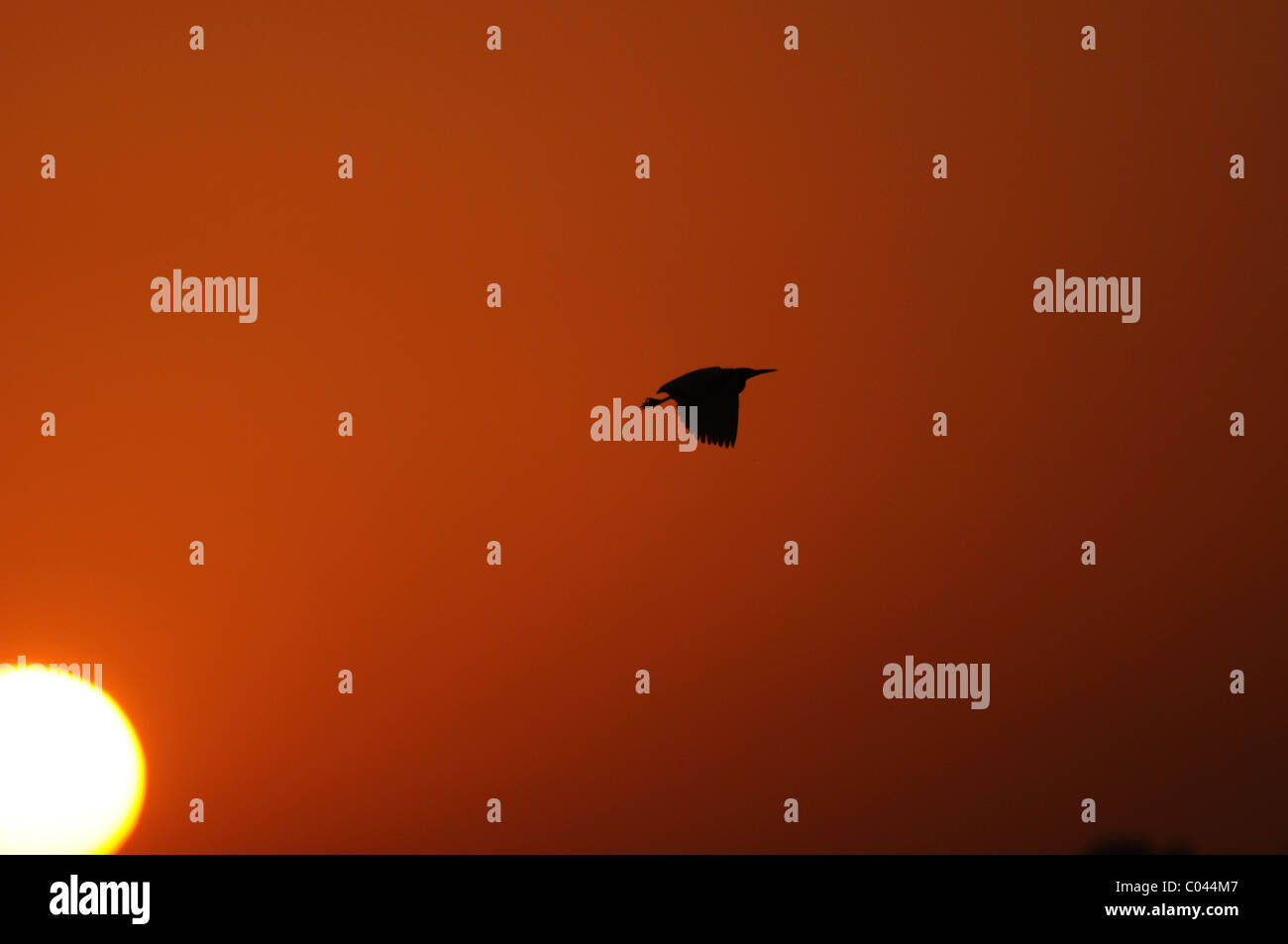 Flying past sun hi-res stock photography and images - Alamy