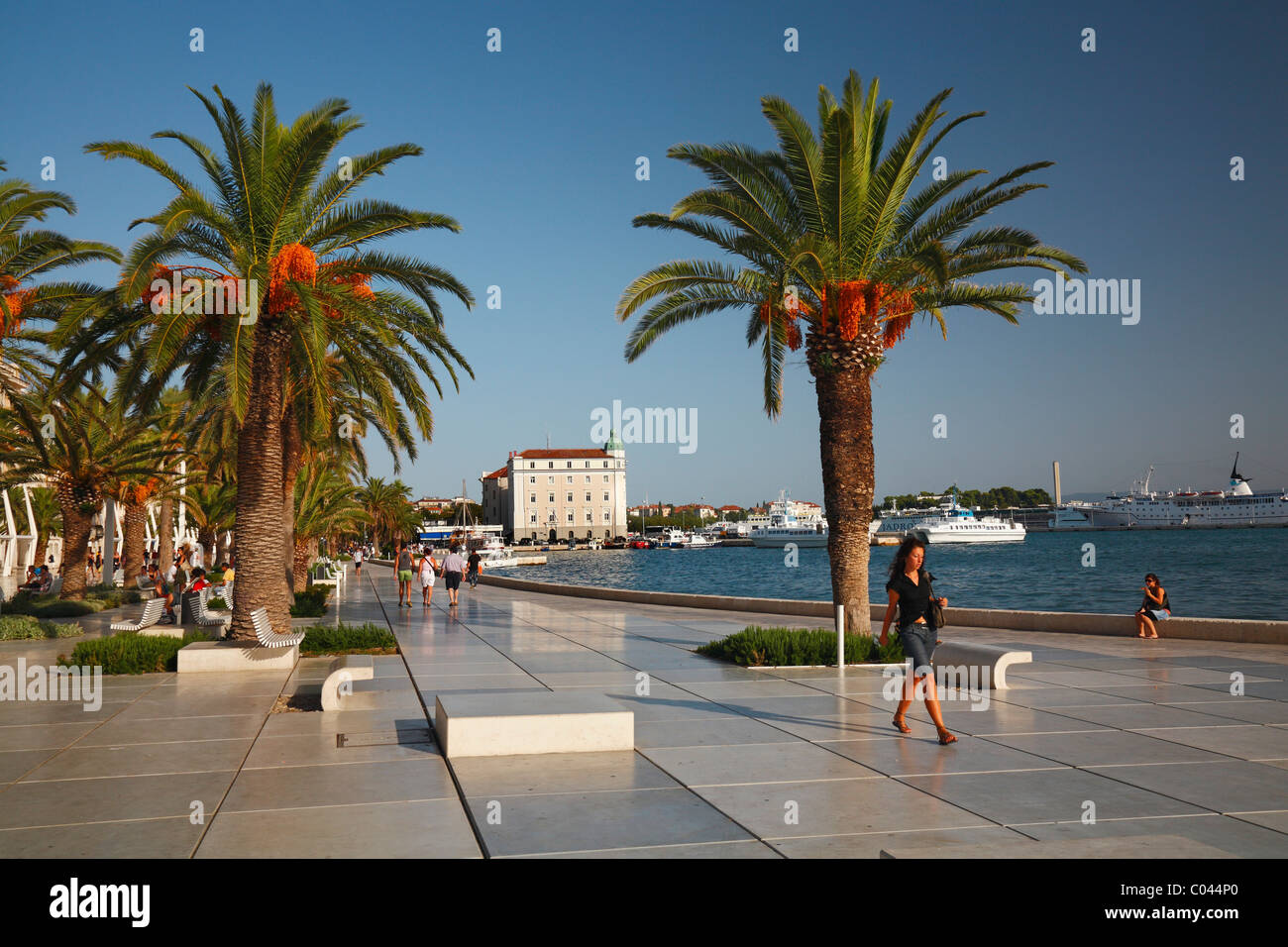 Palm Tree Festival Croatia Price at Julie Solberg blog