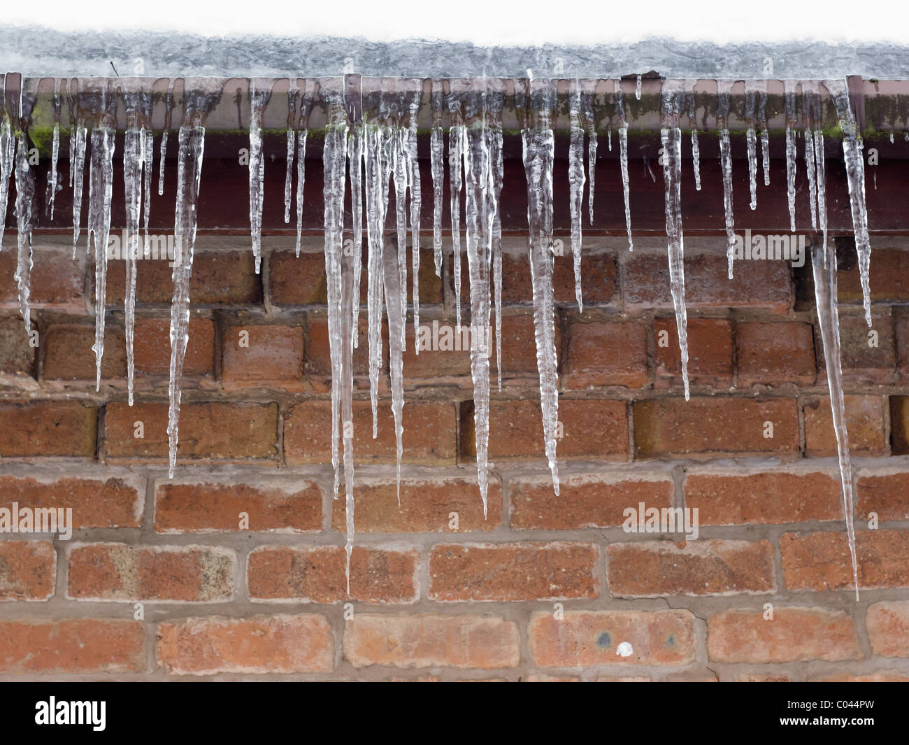snow winter cold freezing december Stock Photo - Alamy