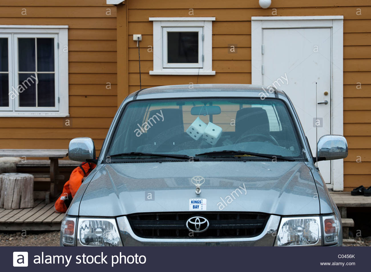 Furry Dice Stock Photos & Furry Dice Stock Images - Alamy