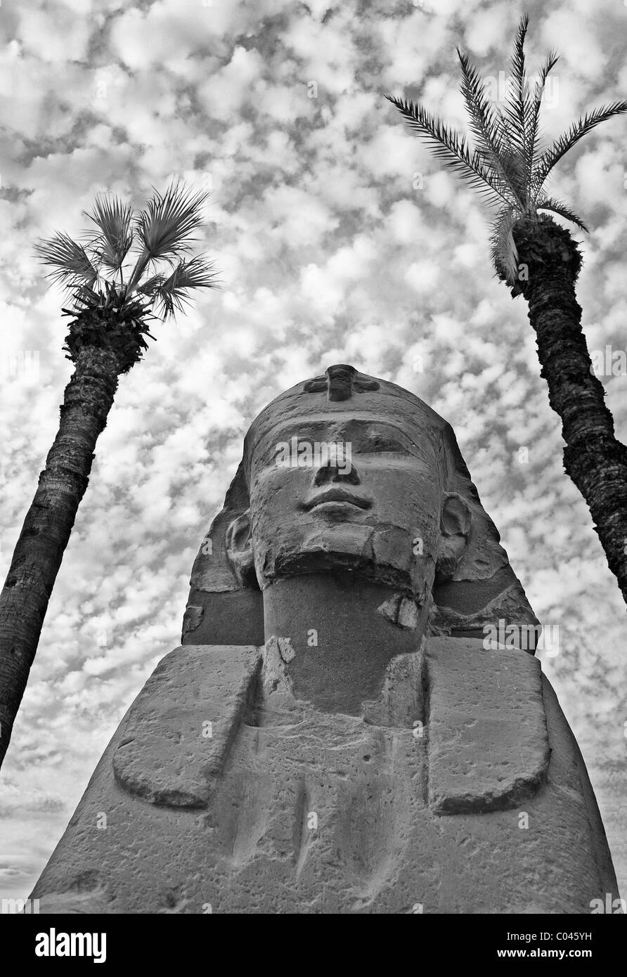 Small sphinx at Luxor Temple framed by two trees in black and white ...