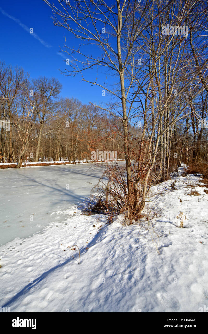 Cold Frozen Delaware and Raritan Canal Stock Photo - Alamy