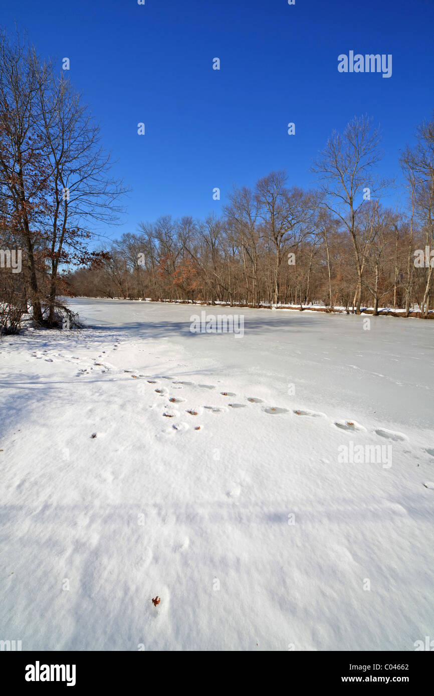 Cold Frozen Delaware and Raritan Canal Stock Photo - Alamy