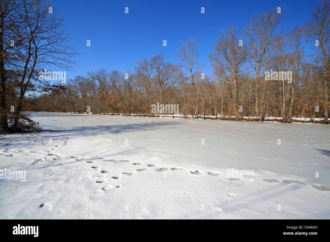 Cold Frozen Delaware and Raritan Canal Stock Photo - Alamy