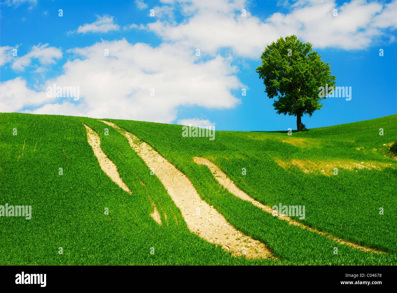 Bright summer landscape with green field;tree and blue sky Stock Photo ...