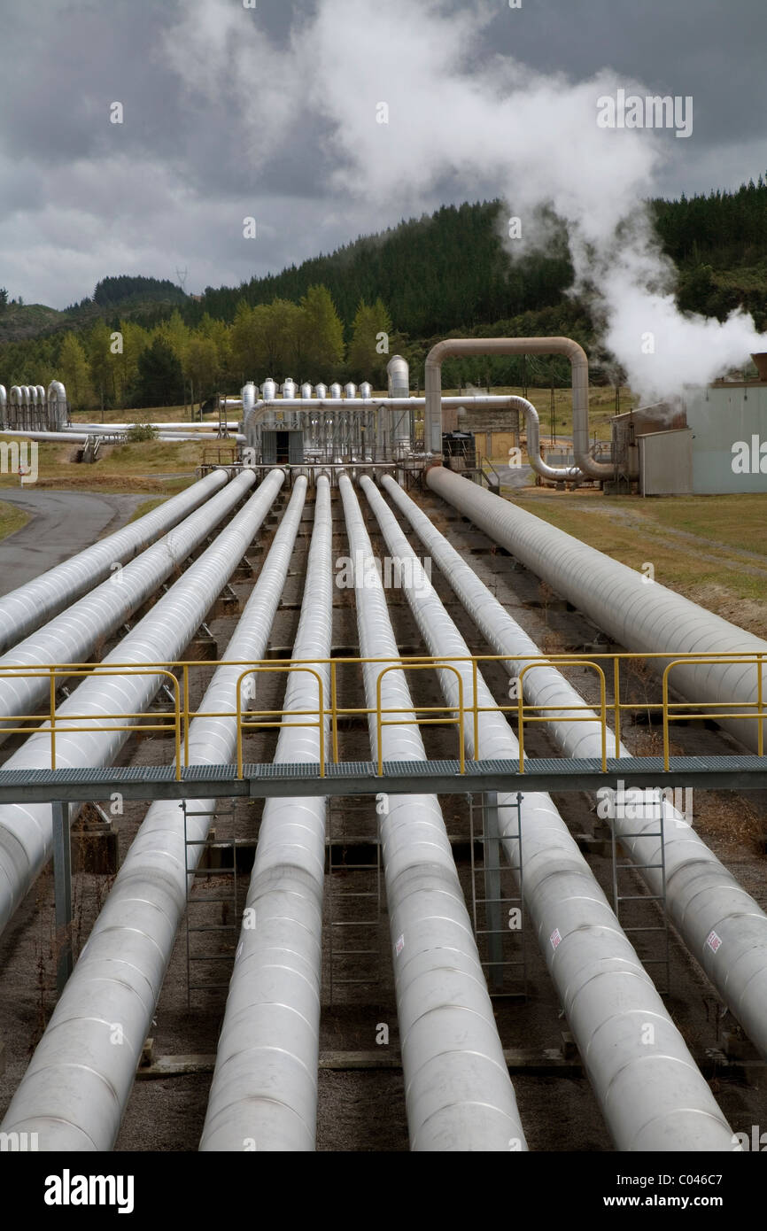 Pilelines, steam, New Zealand Stock Photo - Alamy