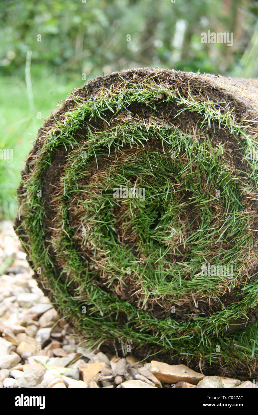 roll of garden turf Stock Photo - Alamy