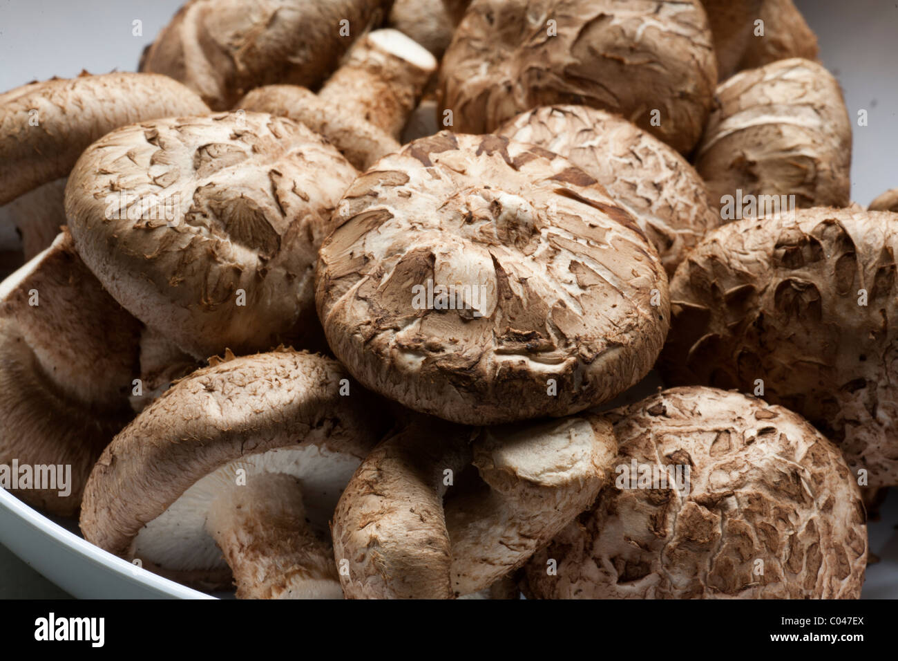 Shiitake mushrooms hi-res stock photography and images - Alamy