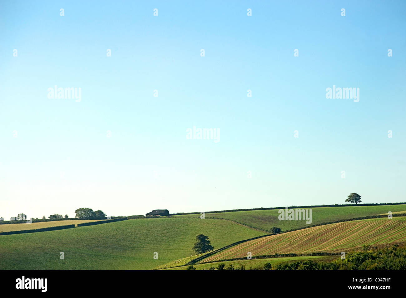 Devon hills hi-res stock photography and images - Alamy