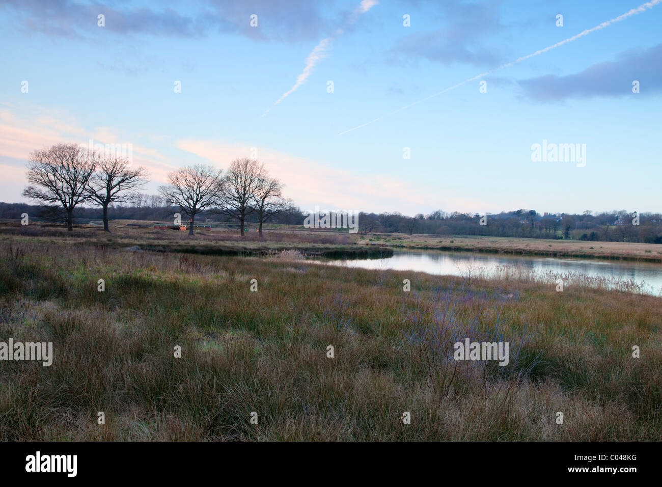 Finchampstead hi-res stock photography and images - Alamy