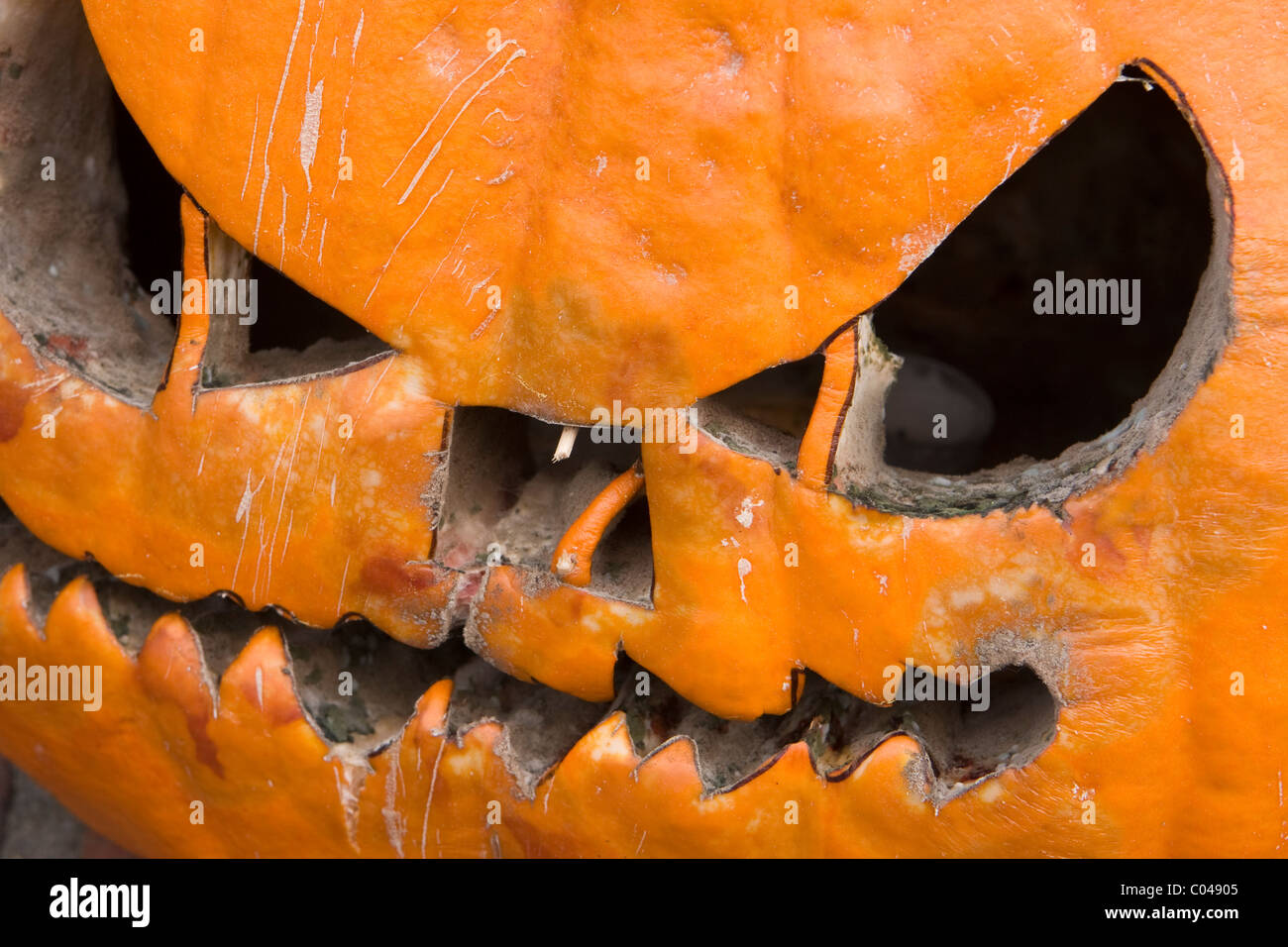 Jack lantern pumpkin rotting hi-res stock photography and images - Alamy