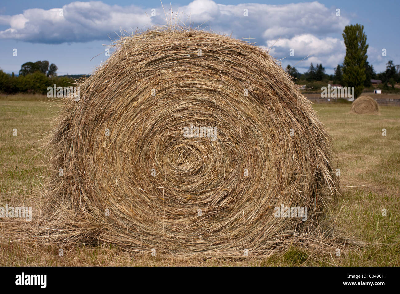 Hay Roll On A Farm Stock Photo - Alamy