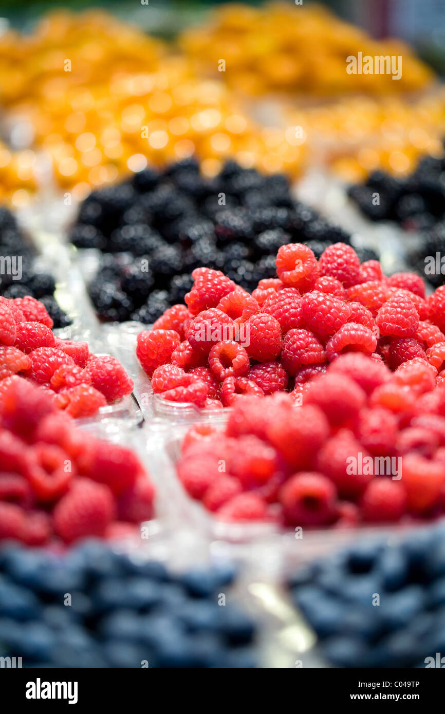 Berry Fruit for background, close up shot Stock Photo - Alamy