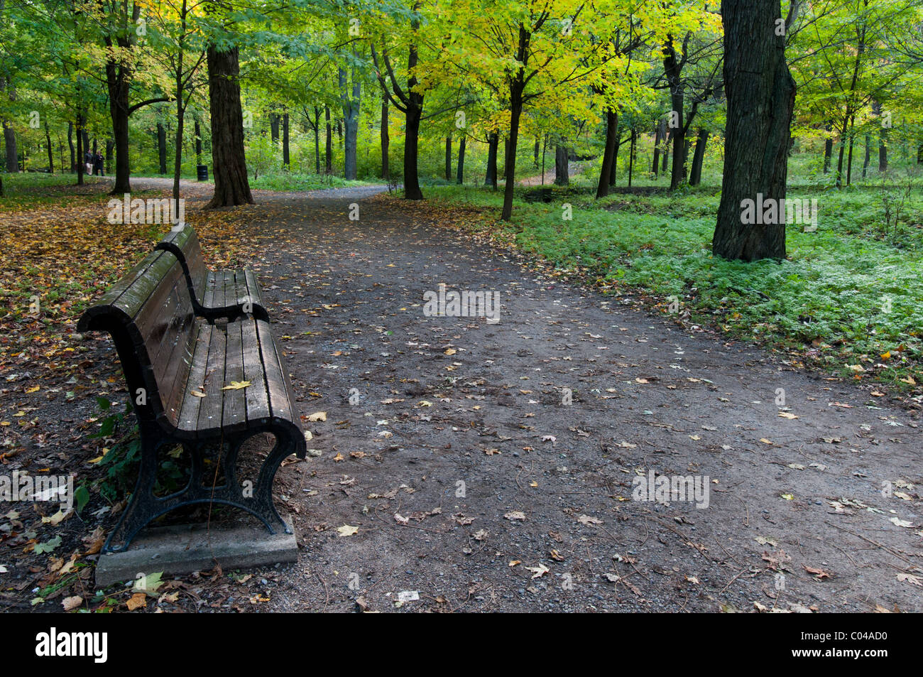 Park Mont Royal, Montreal Stock Photo - Alamy