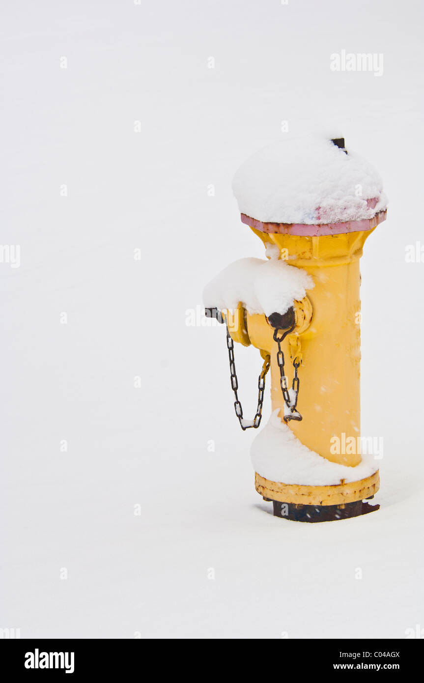 Fire hydrant covered in snow Stock Photo - Alamy