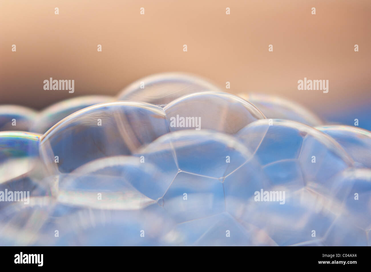 Soap Bubbles in close-up Stock Photo - Alamy