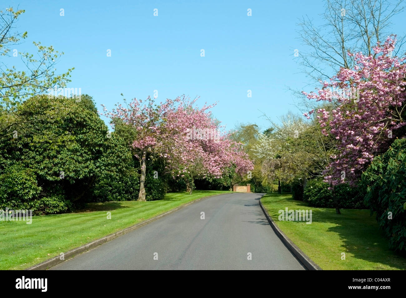 Picturesque English rural landscape,long road drive perspective spring ...