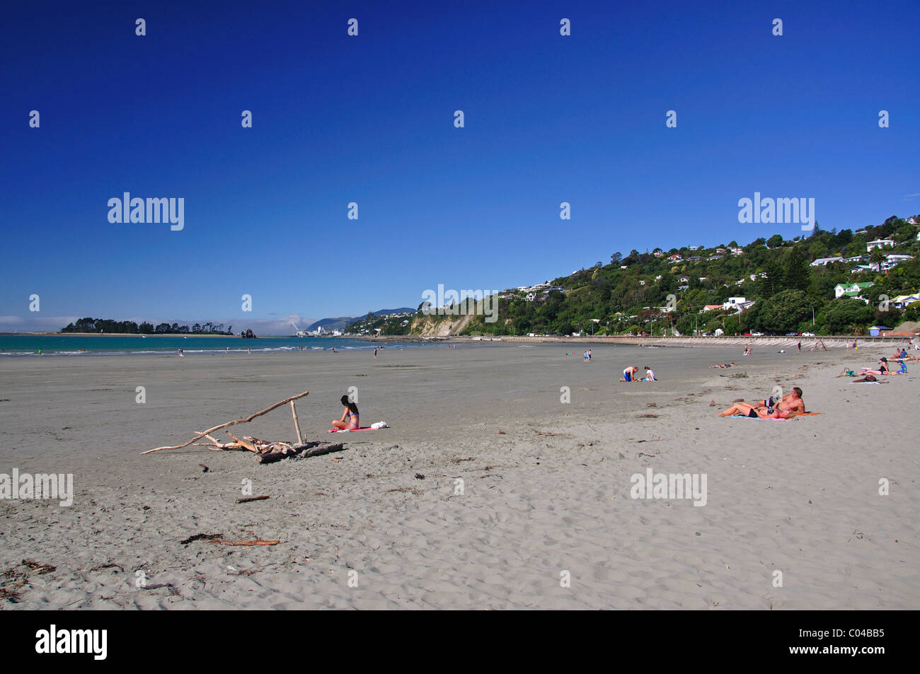 Tahunanui Beach, Nelson, Nelson Region, South Island, New Zealand Stock ...