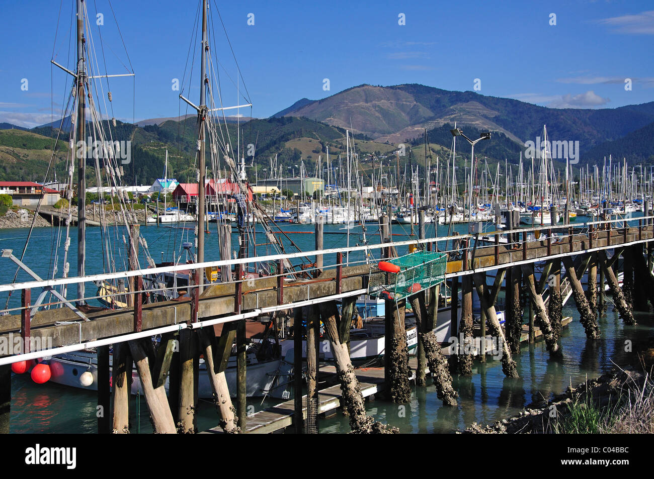 Fishing boats in Port Nelson, Nelson, Tasman Region, South Island, New ...