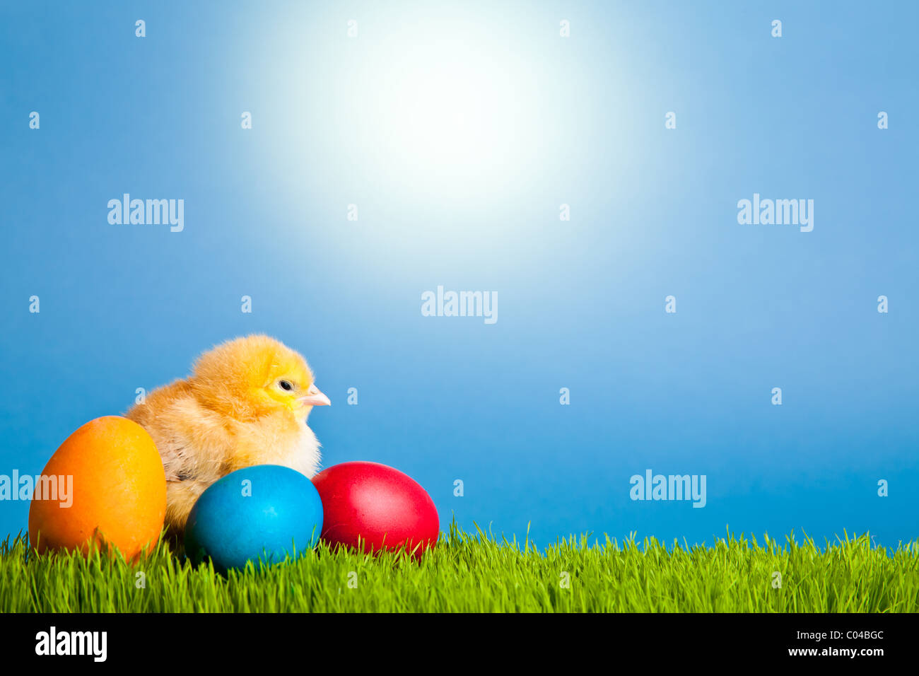 Easter eggs and chickens on green grass on blue background Stock Photo ...