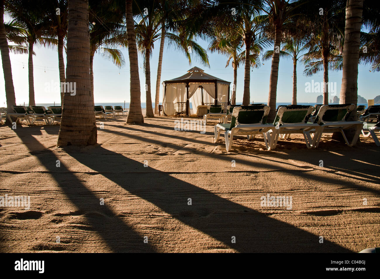 Five Girls Naked Massage In Florida Sun Telegraph