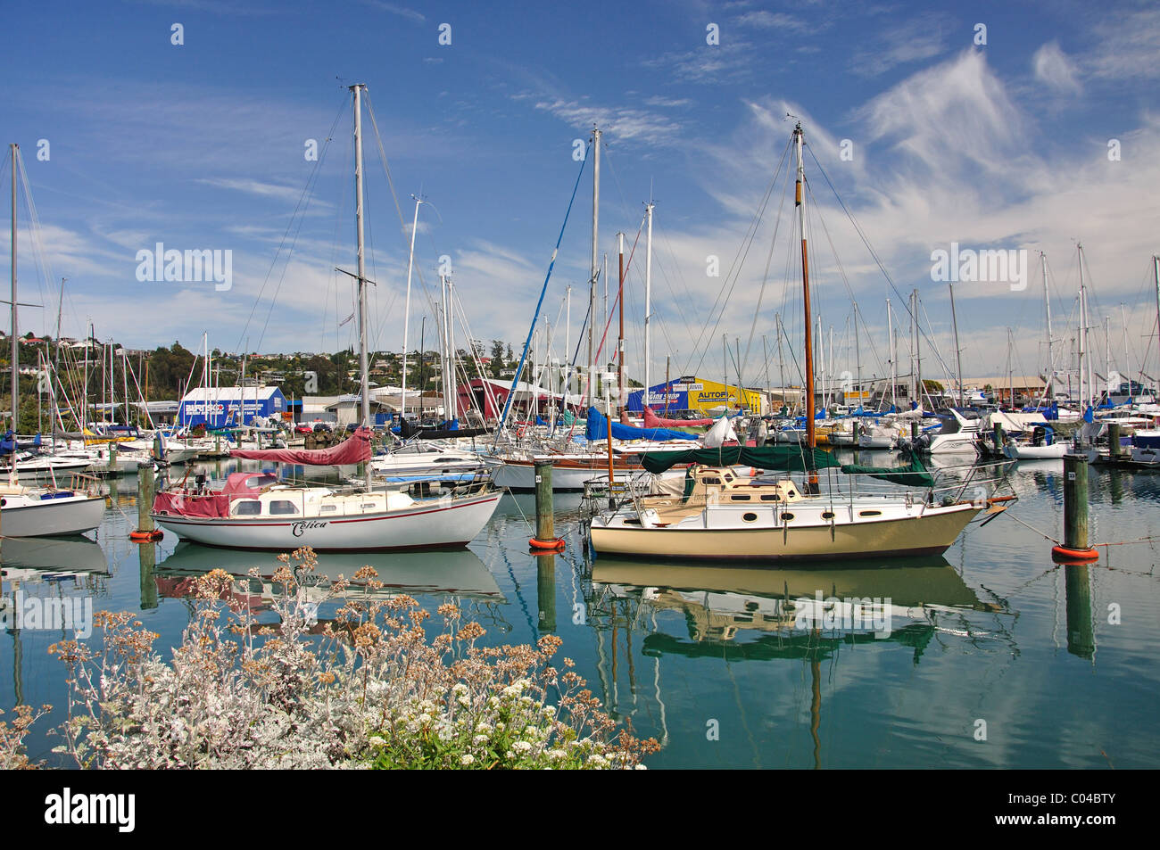 Nelson new zealand attractions hi-res stock photography and images - Alamy