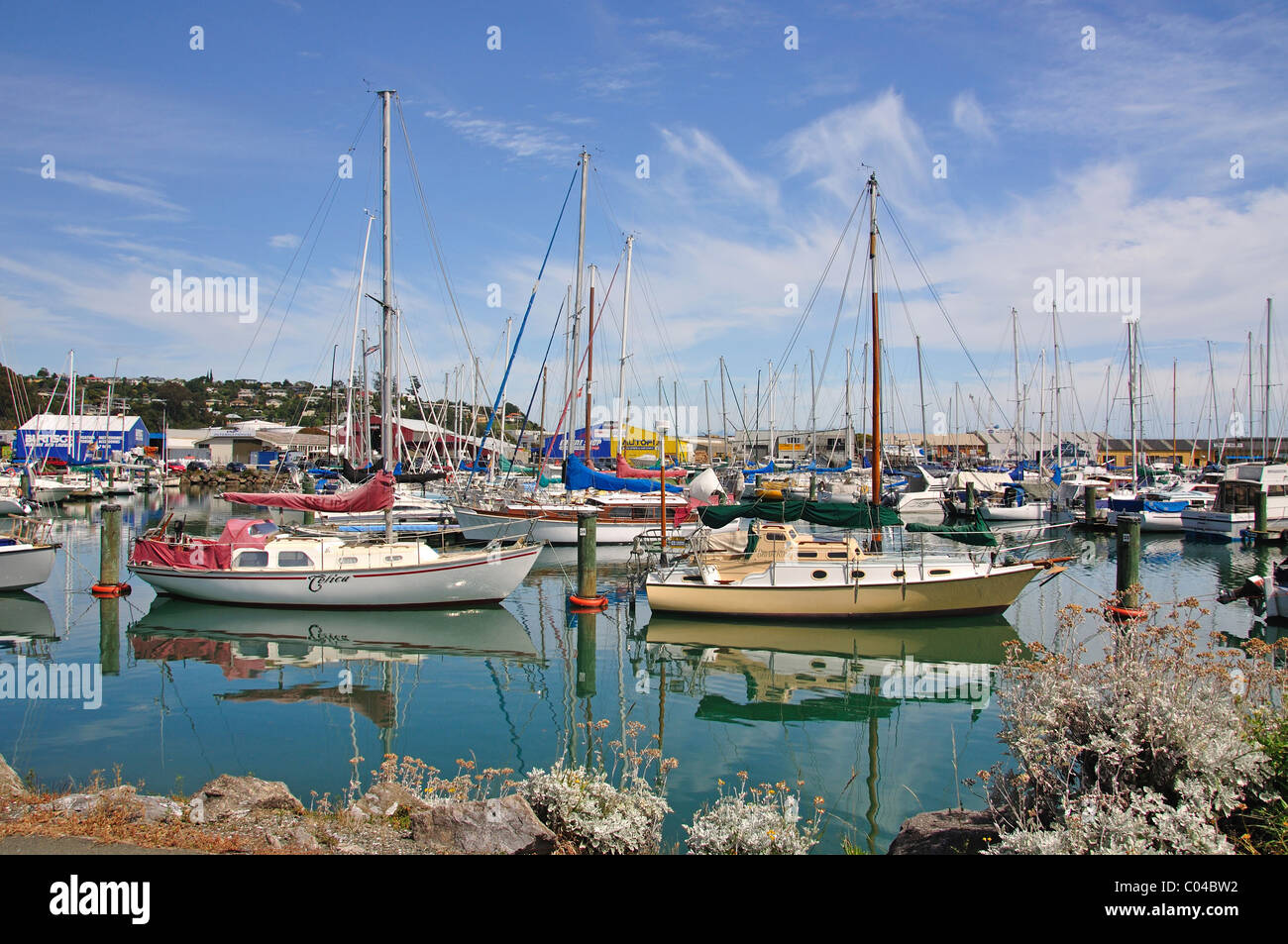 Boats moored at Nelson Marina, Cross Quay, Port Nelson, Nelson, Nelson ...