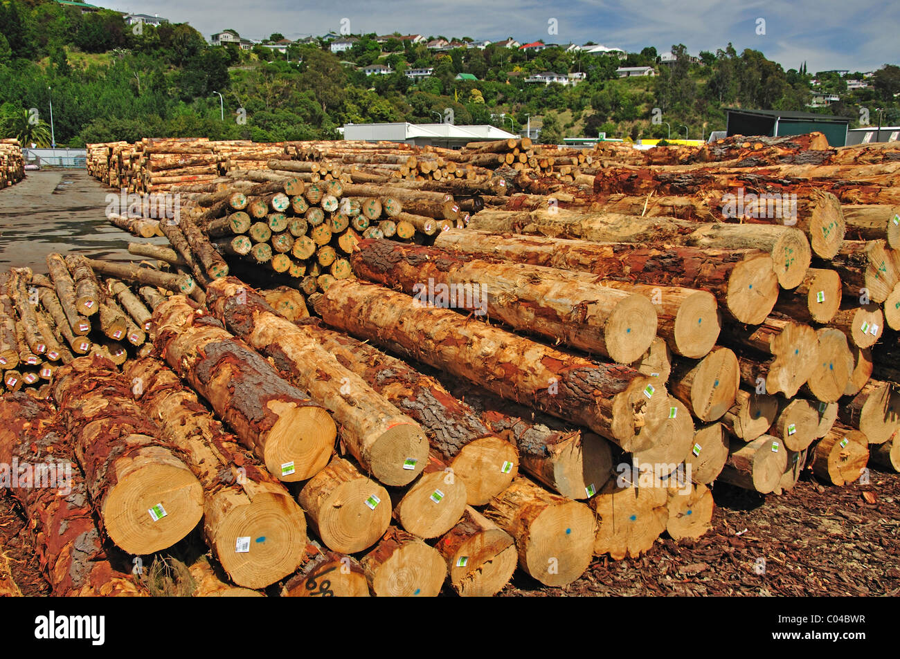 Stacks of timber for export at Port Nelson, Nelson, Nelson Region ...
