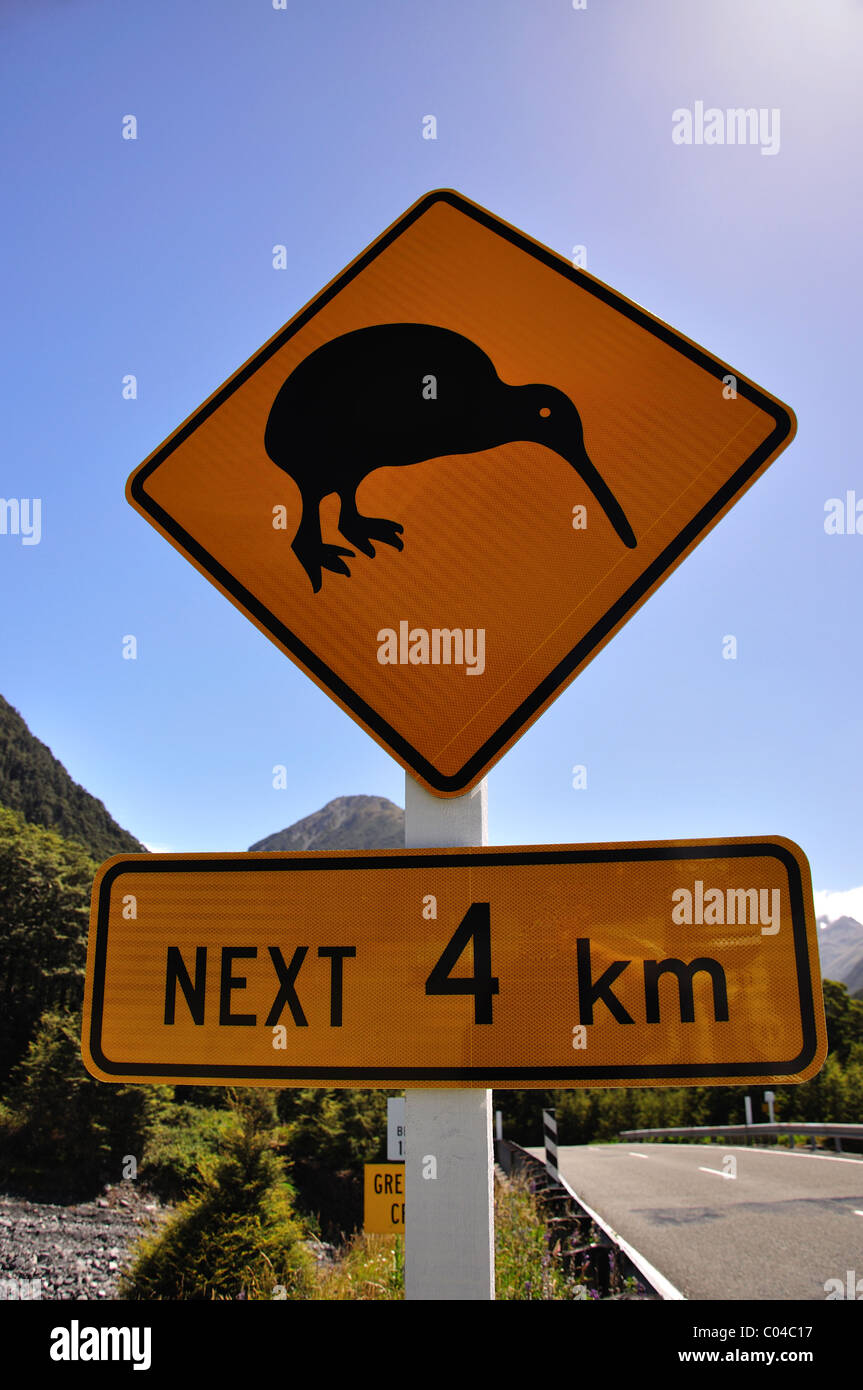 Arthurs pass new zealand bird hi-res stock photography and images - Alamy