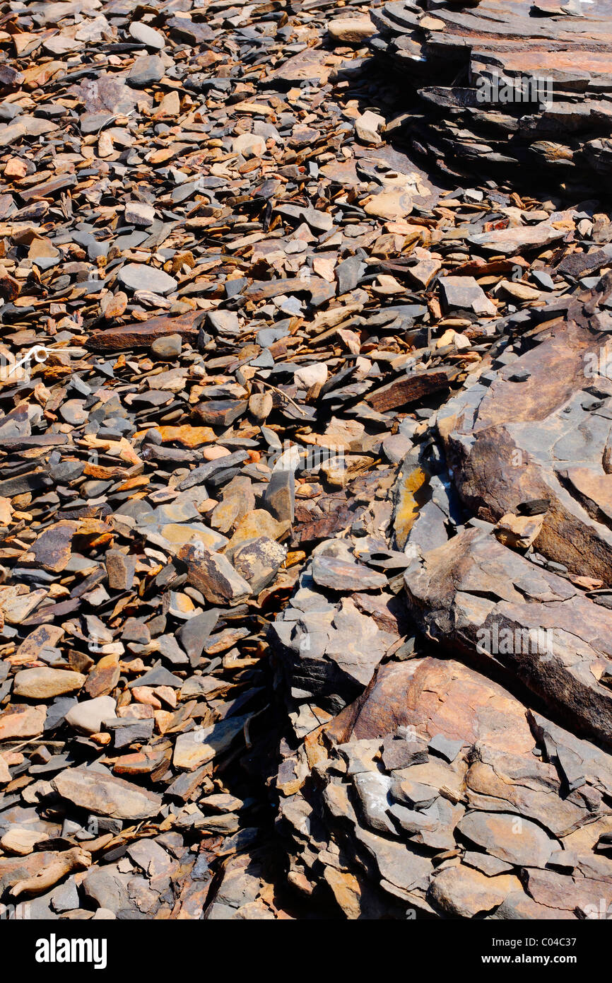 Shale breaking down as a result of water action along lake shore ...