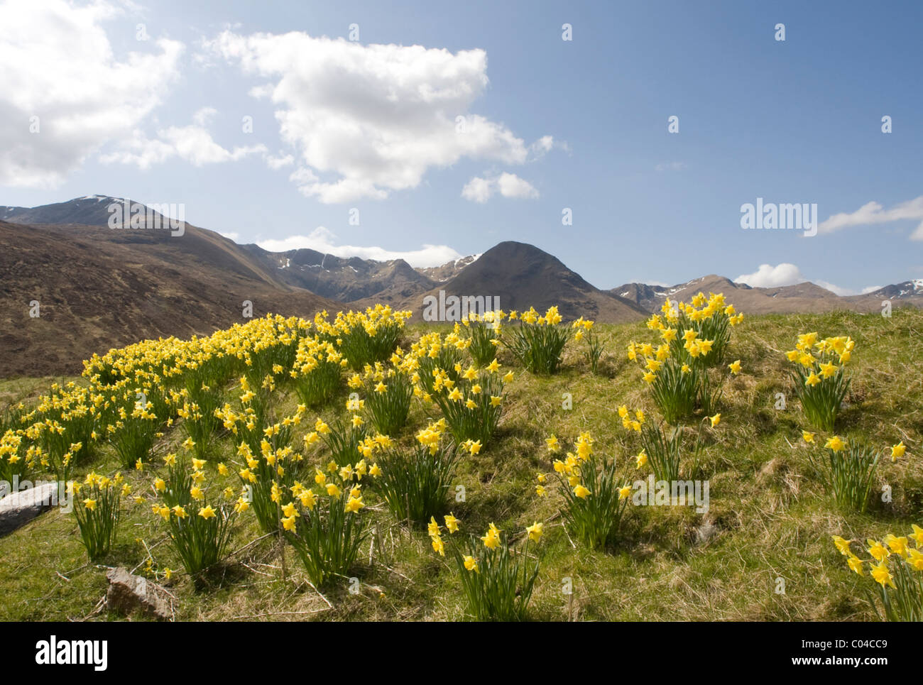 Loch of clunie hi-res stock photography and images - Alamy