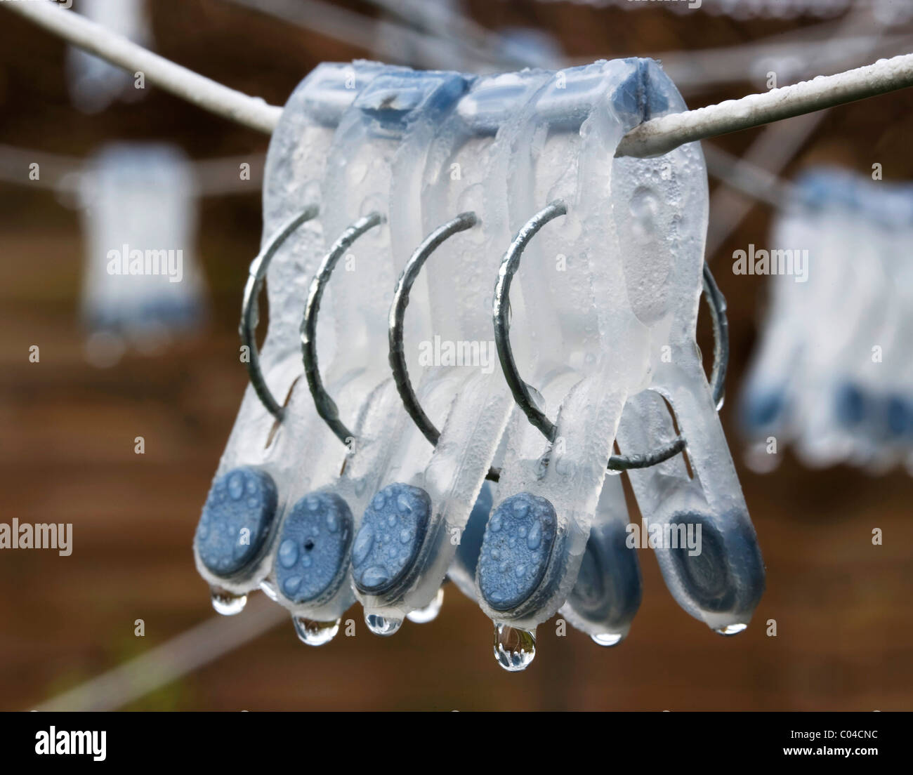 Wet clothes pegs/pins after rain Stock Photo - Alamy